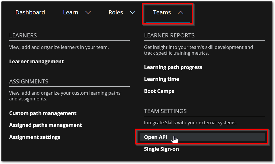 Open API (Skills Teams)